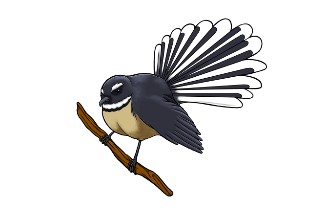 Te Kura Māori Educational Resources - Christine Luiten